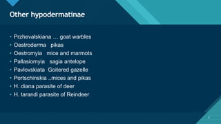 Hypodermatidae.pptx