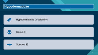 Hypodermatidae.pptx