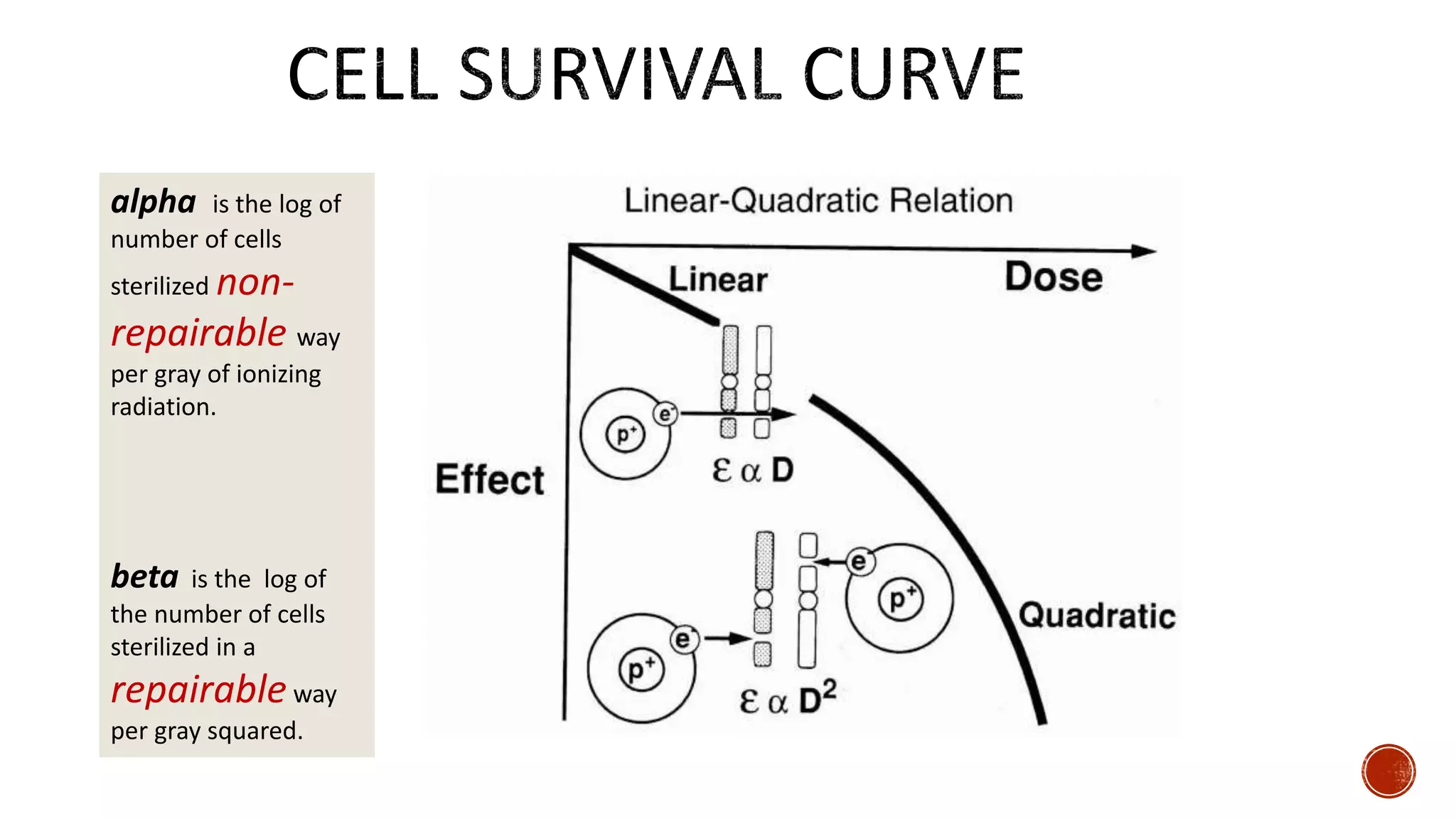 HYPOFRACTIONATION IN RADIOTHERAPY | PPTX