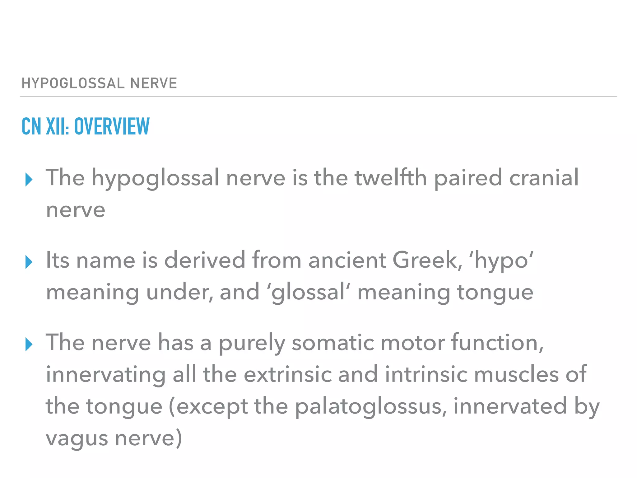 Hypoglossal nerve | PDF
