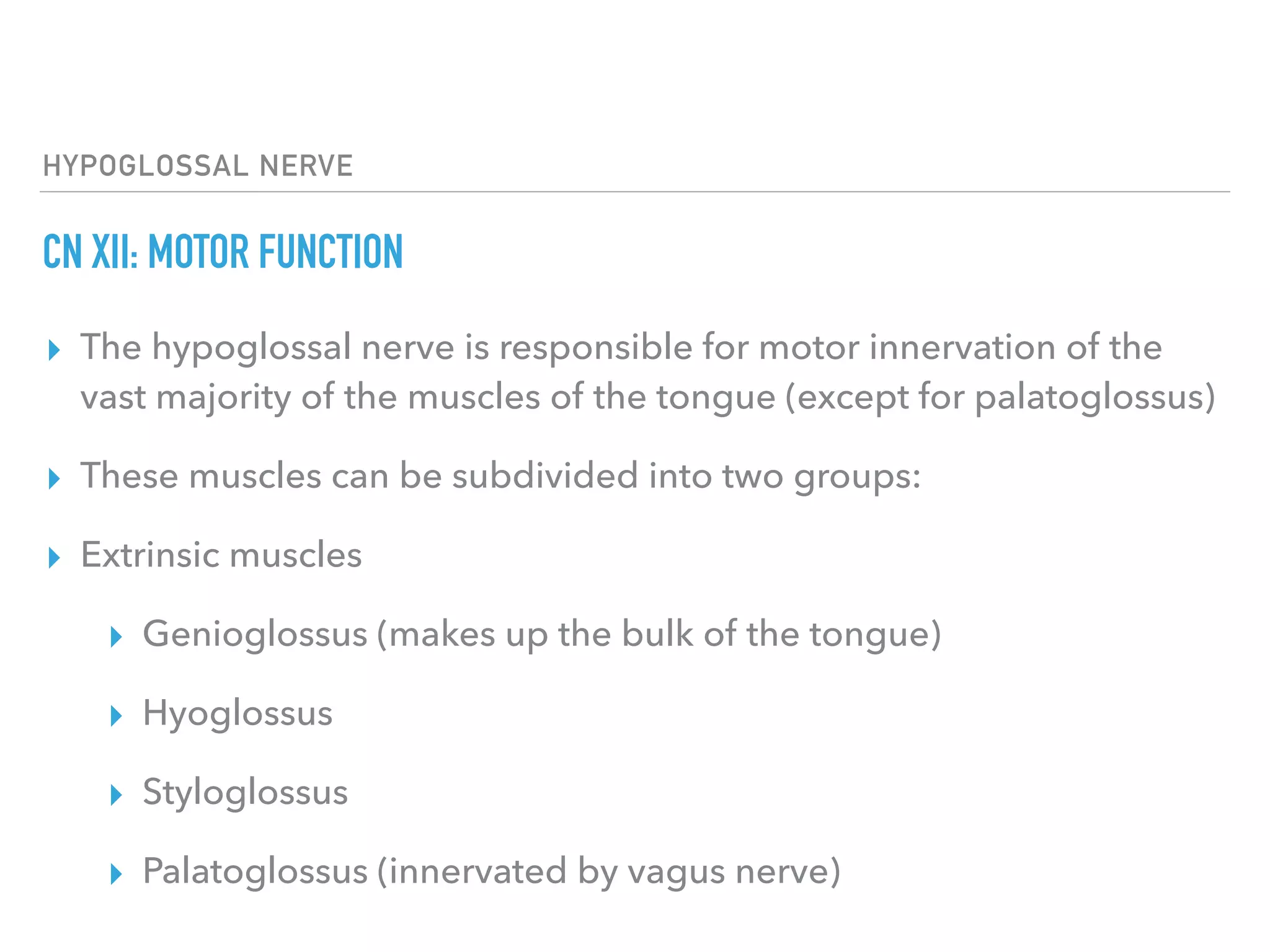 Hypoglossal nerve | PDF