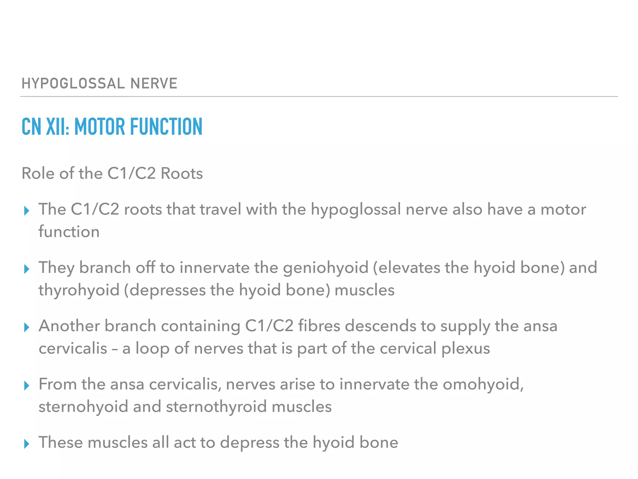 Hypoglossal nerve | PDF