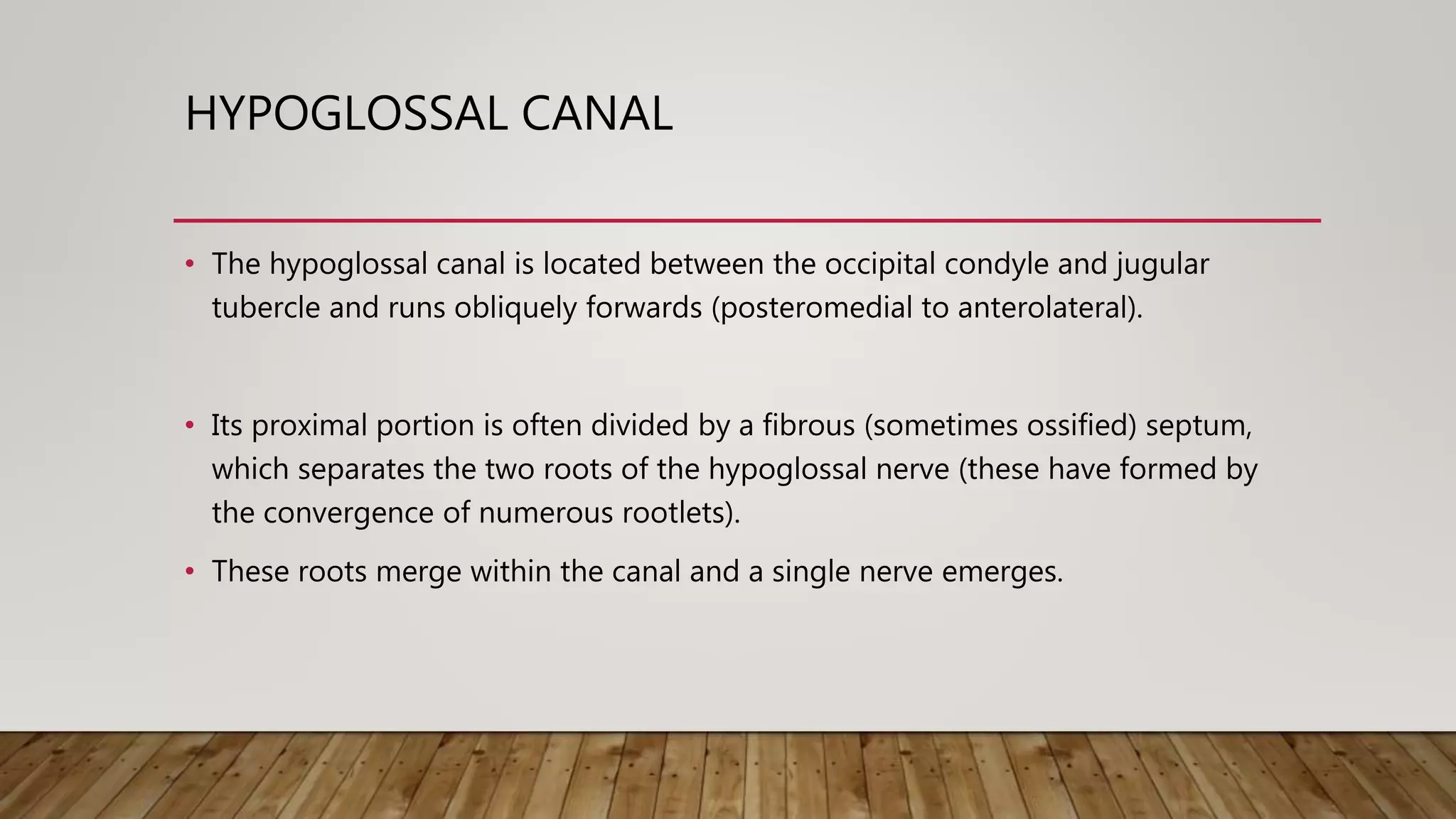 Hypoglossal nerve | PPTX