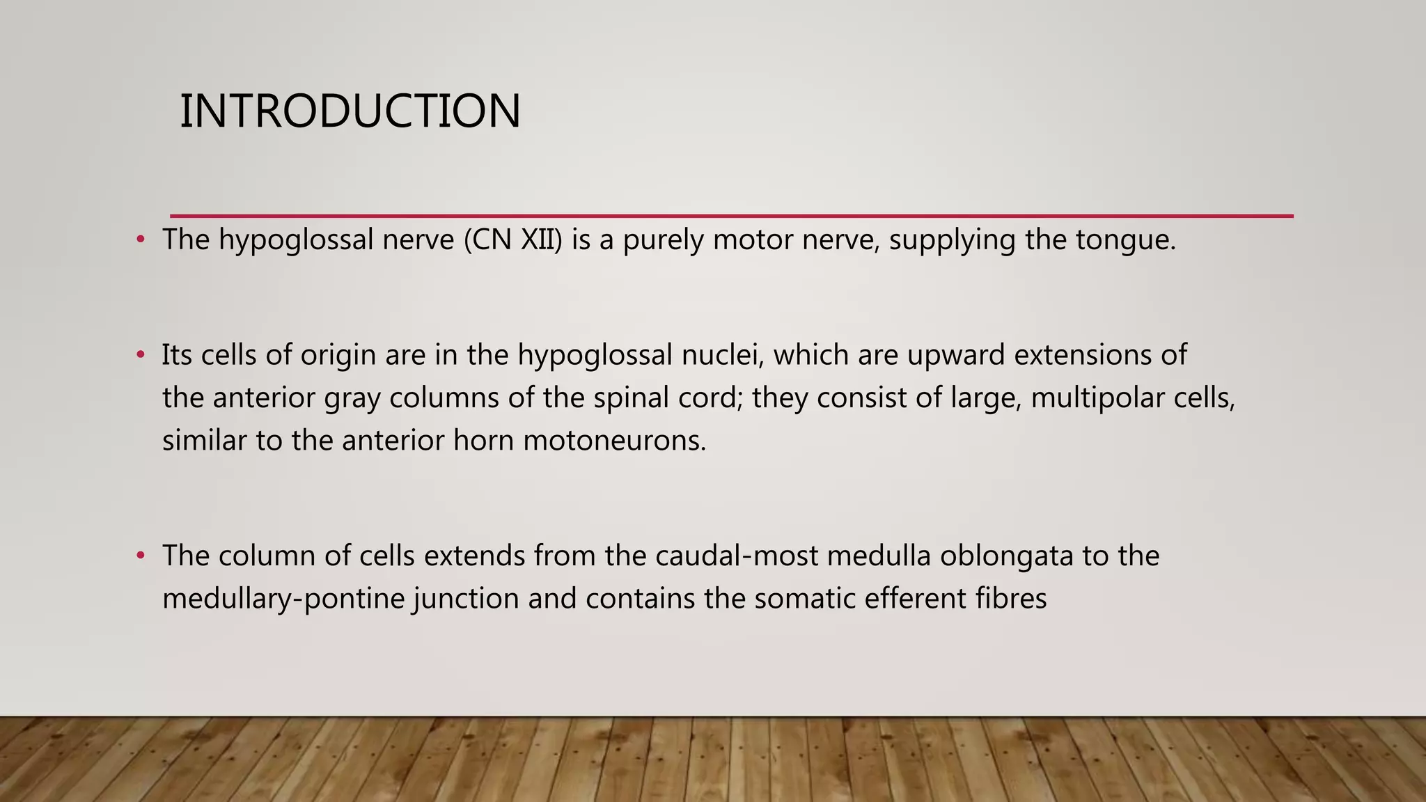 Hypoglossal nerve | PPTX