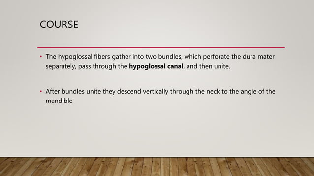 Hypoglossal nerve | PPTX | Ear, Nose and Throat Conditions | Diseases ...