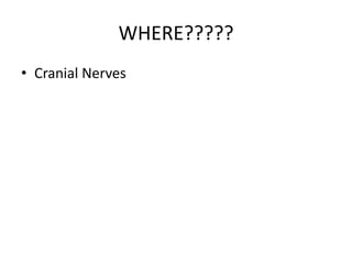 Hypoglossia hypodactylia | PPT