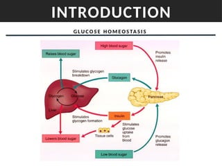 hypoglycaemia new notes plus important points | PPTX