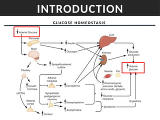 hypoglycaemia new metabolic emergency management | PPTX | Diabetes ...