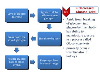 Hypoglycemia | PPTX