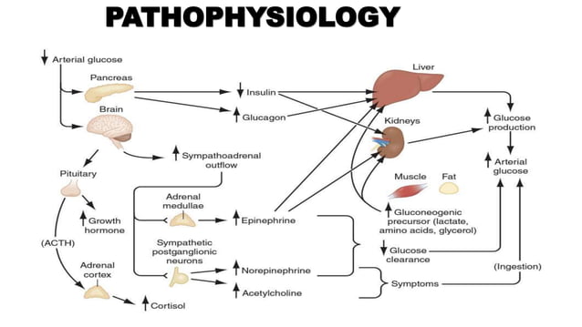 HYPOGLYCEMIA and its complications and ita mechanism.pptx