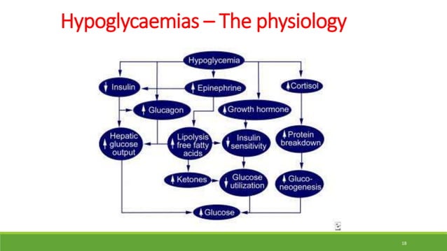 Hypoglycemia in children | PPTX