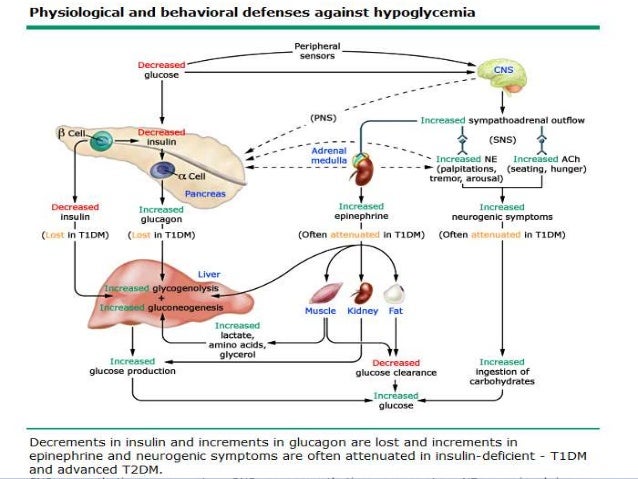 Hypoglycemia in dm patients