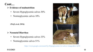 Hypoglycemia in Neonatal Ruminants.pptx