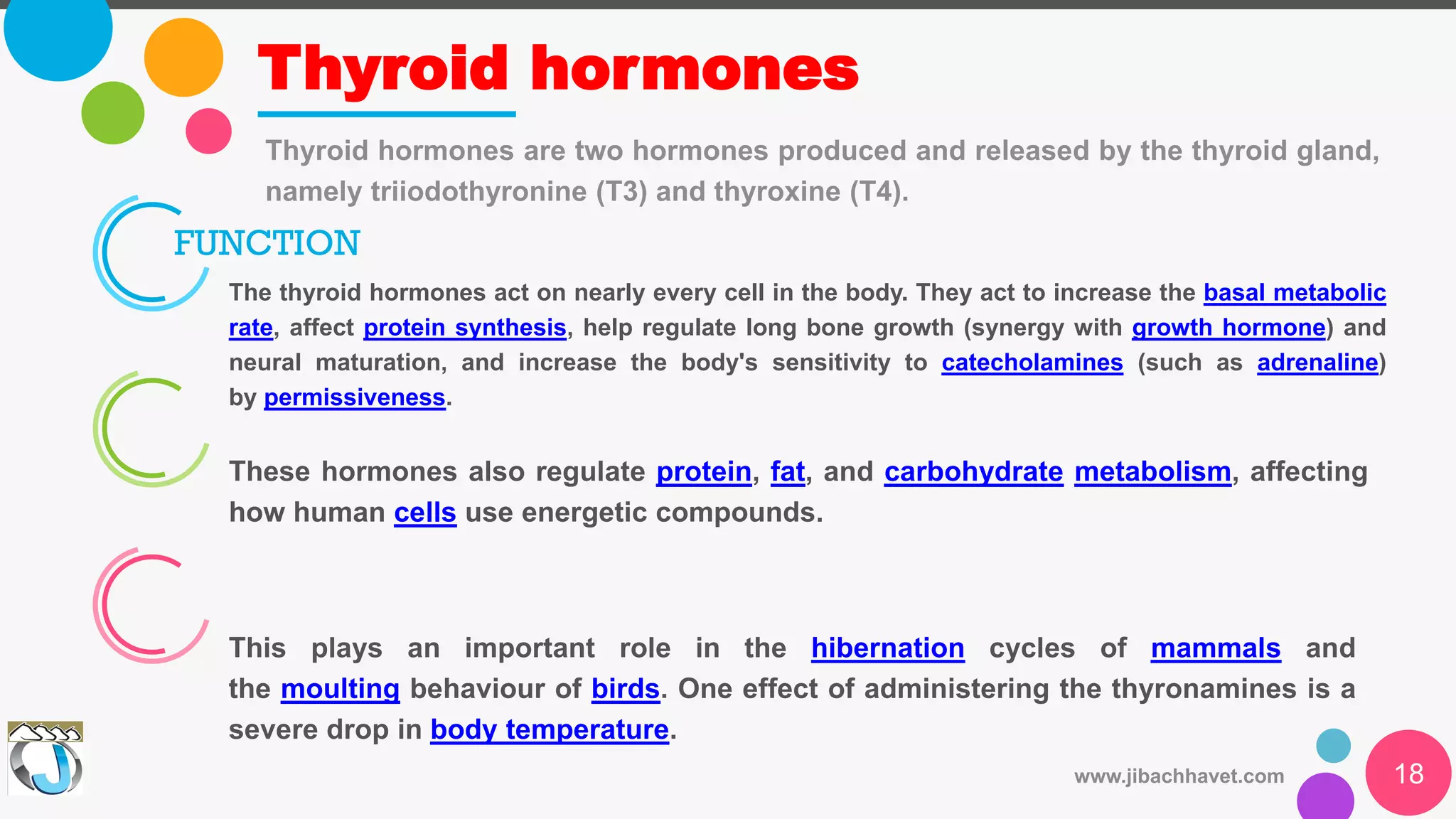 Hypoglycemic agent and Thyroid hormone lecture notes-Dr.Jibachha Sah | PDF