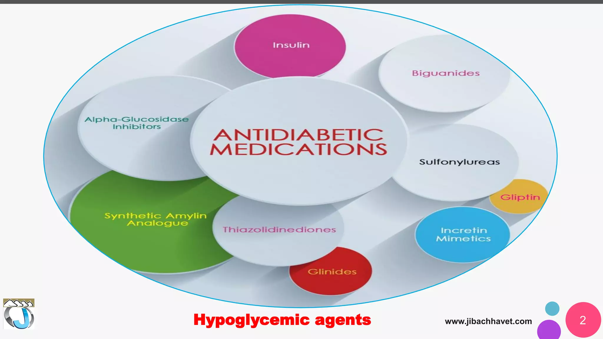 Hypoglycemic agent and Thyroid hormone lecture notes-Dr.Jibachha Sah | PDF