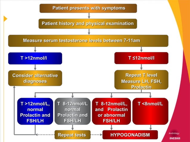 Hypogonadism and testosterone replacement | PPT