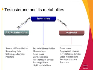 Hypogonadism and testosterone replacement | PPT