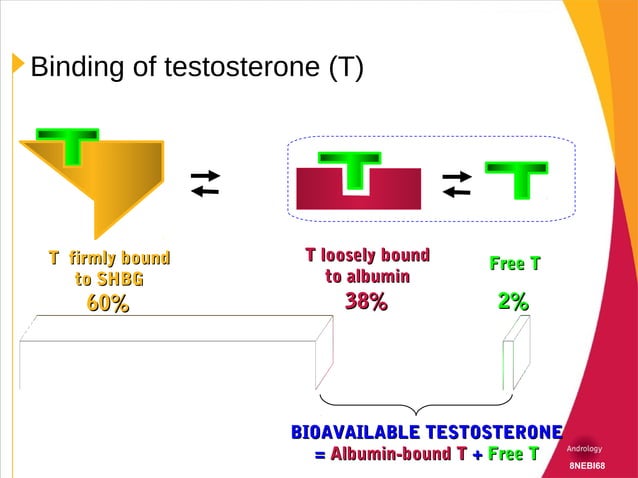 Hypogonadism and testosterone replacement | PPT