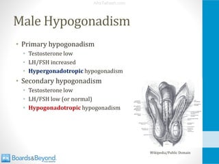 Hypogonadism atf.pdf jgsibjrbjbinwkbsedd | PPT