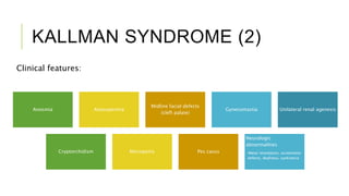 Hypogonadotropic Hypogonadism | PPTX