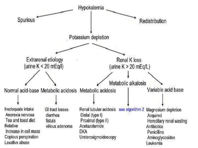 Hypokalemia diagnosis, causes and treatment | PPTX