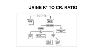 Urine Potassium