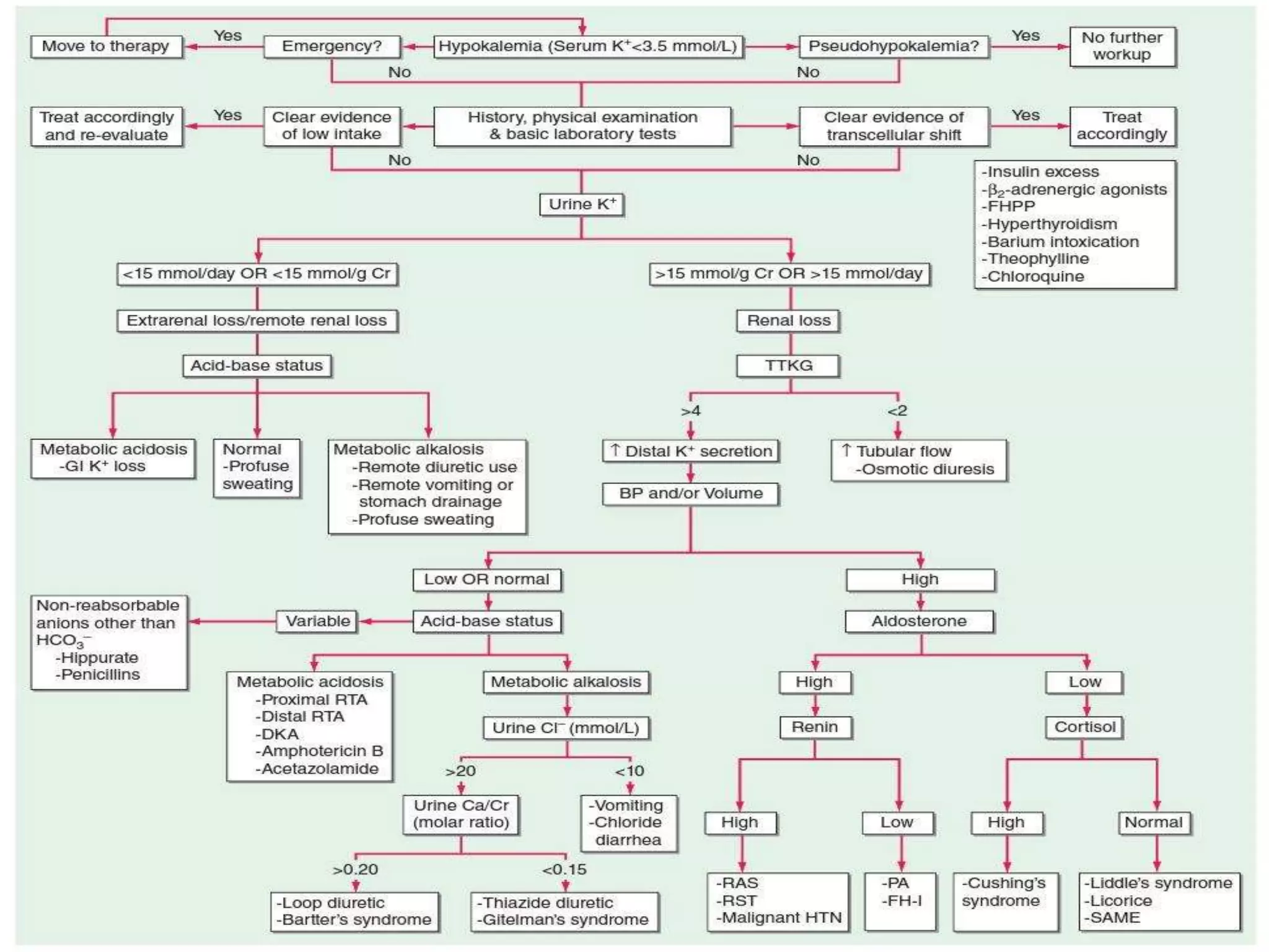 Hypokalemia - Approach and Management | PPTX