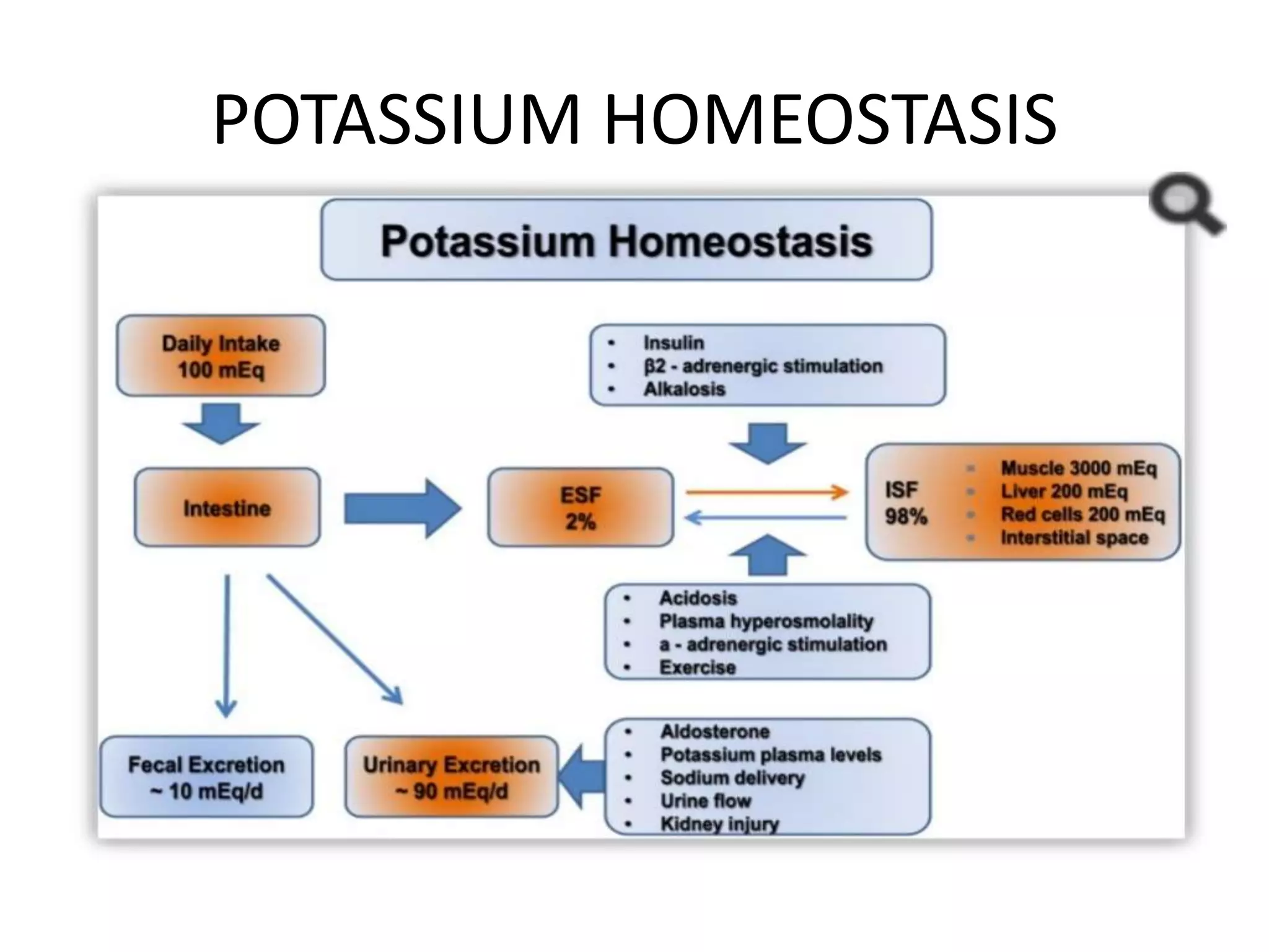 Hypokalemia - Approach and Management | PPTX