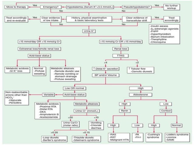 Hypokalemia - Approach and Management | PPTX