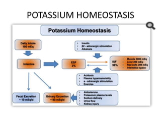 Hypokalemia - Approach and Management | PPTX