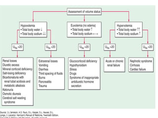 approach causes management of HYPOKALEMIA.pptx
