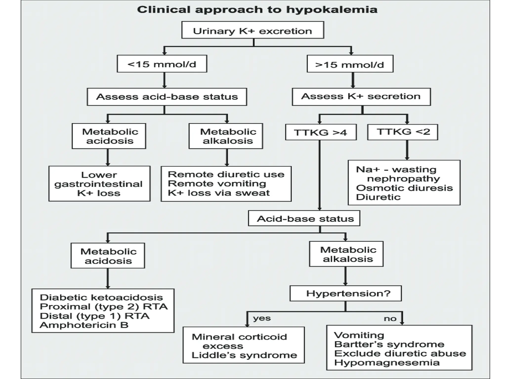 Hypokalemia presentation cause and treatment | PPTX