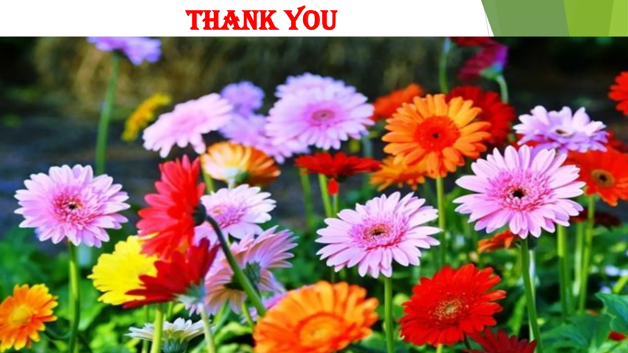 Hypokalemia bysadek alrokh | PDF