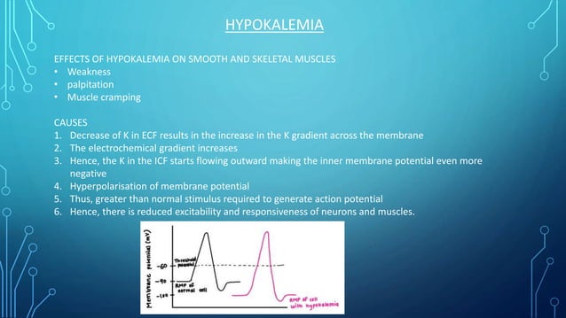 Hypokalemia Hyperkalemia changes in cardiac physiology.pptx | Biological Sciences | Science