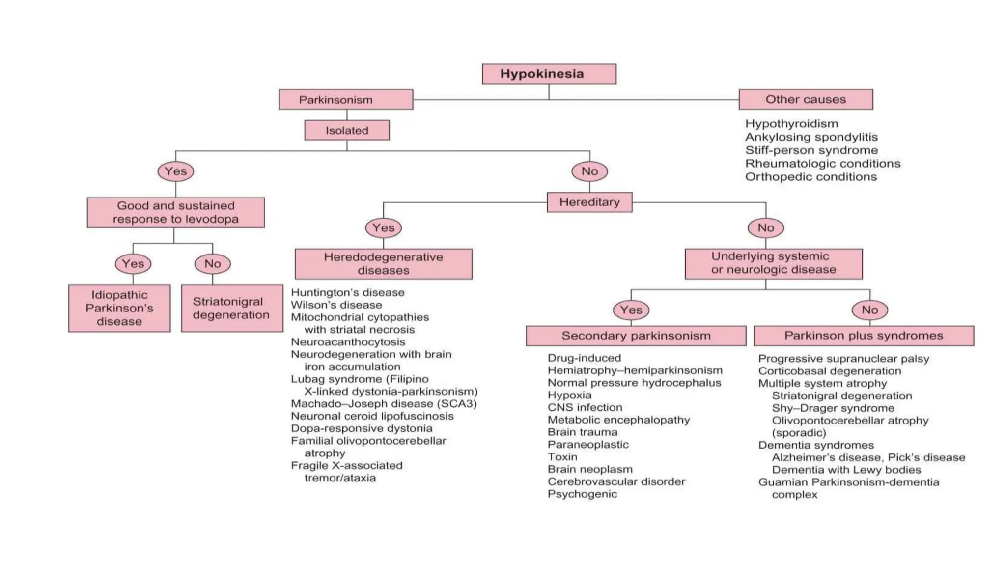 Hypokinetic Movement Disorders.pptx by dinesh | PPTX