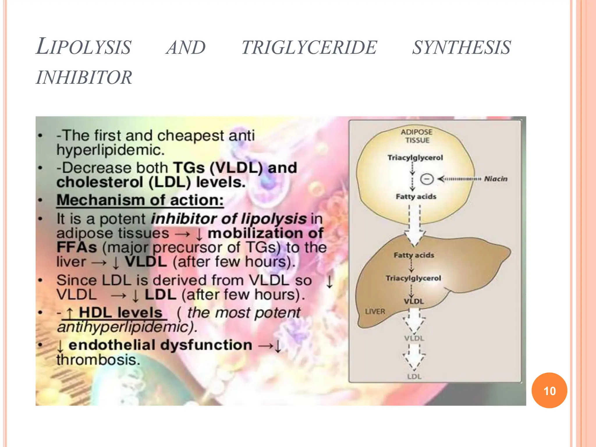 Drugs used in Treatment of Hyperlipidemia | PPTX