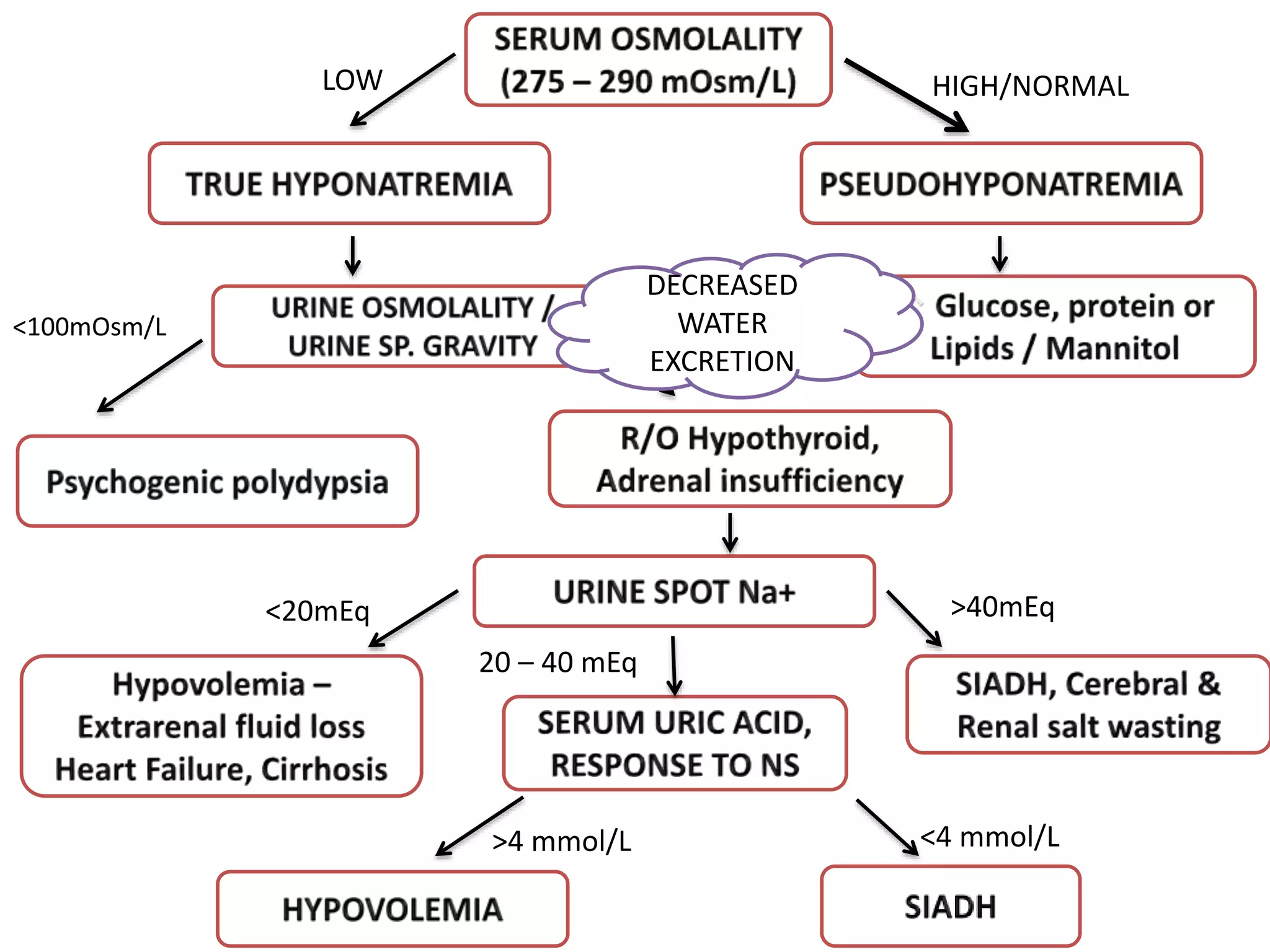 Hyponatremia | PPTX