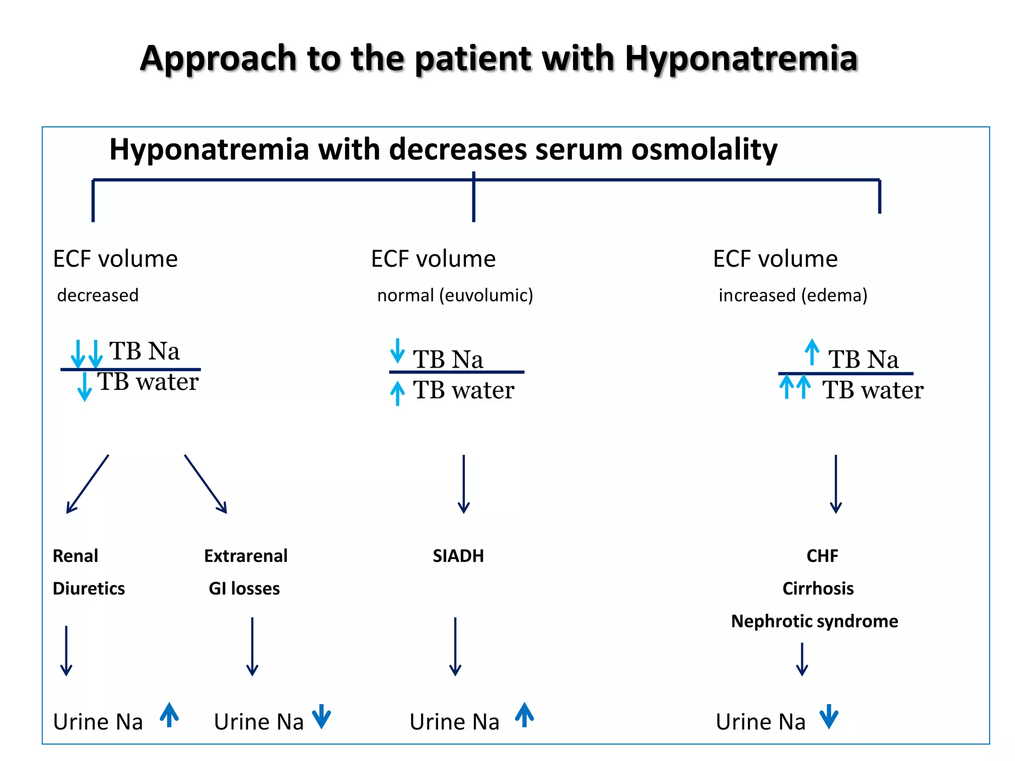 Hyponatremia.ppt