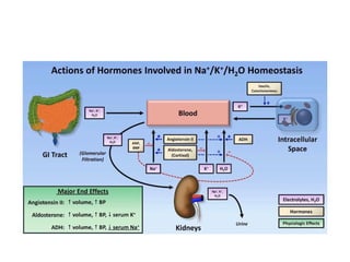 approach to hyponatremia, causes, investigation, pathophysiology ...