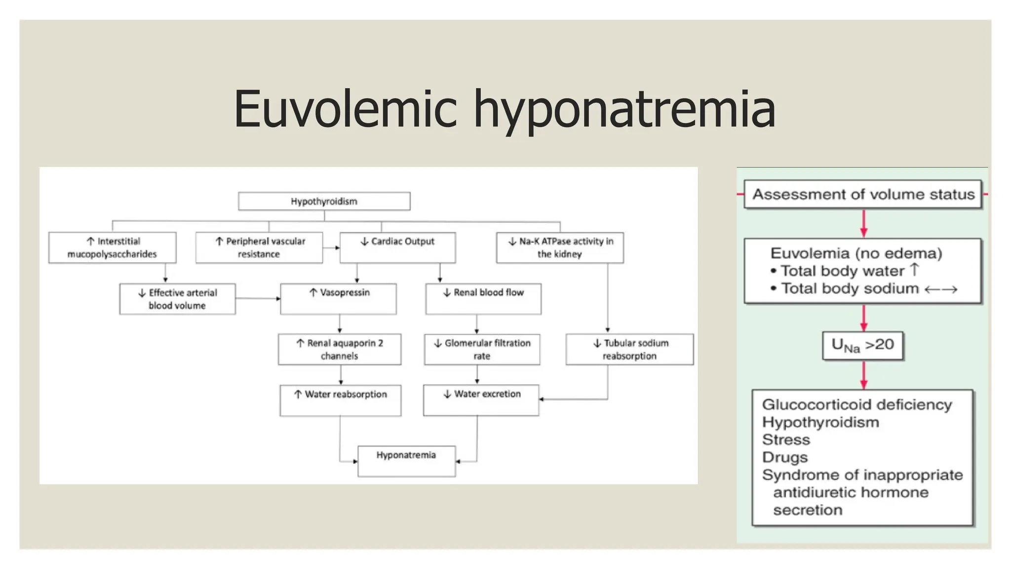 hyponatremia the causes and how to treat | PPT