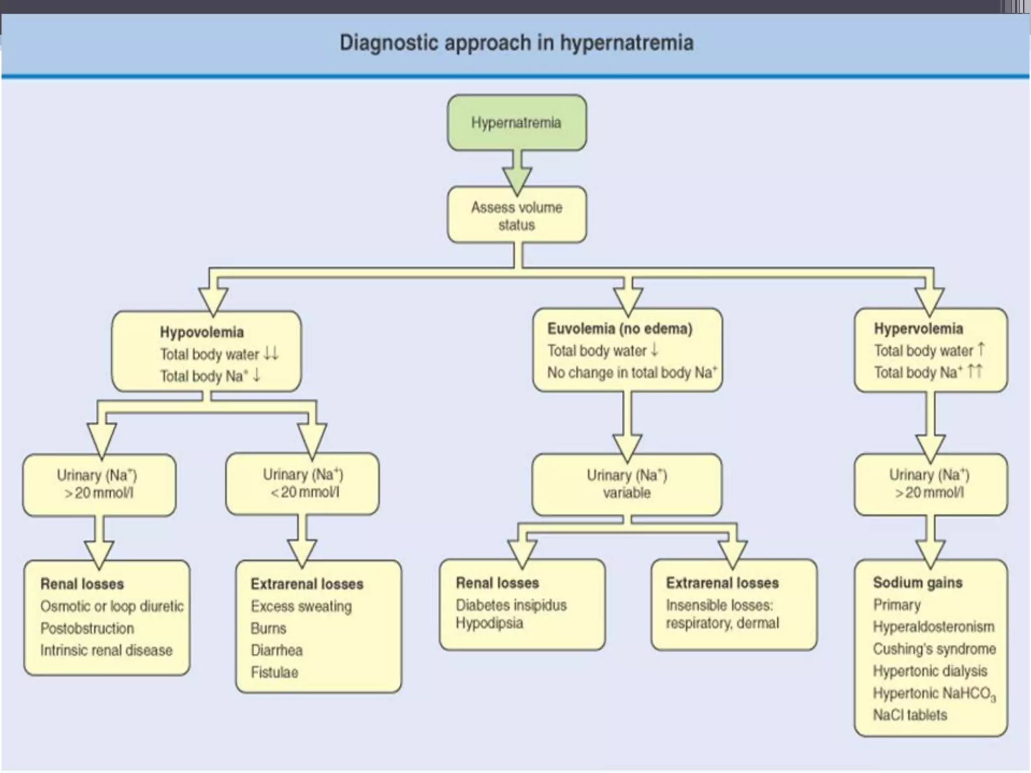 Hyponatremia 2015 final | PDF
