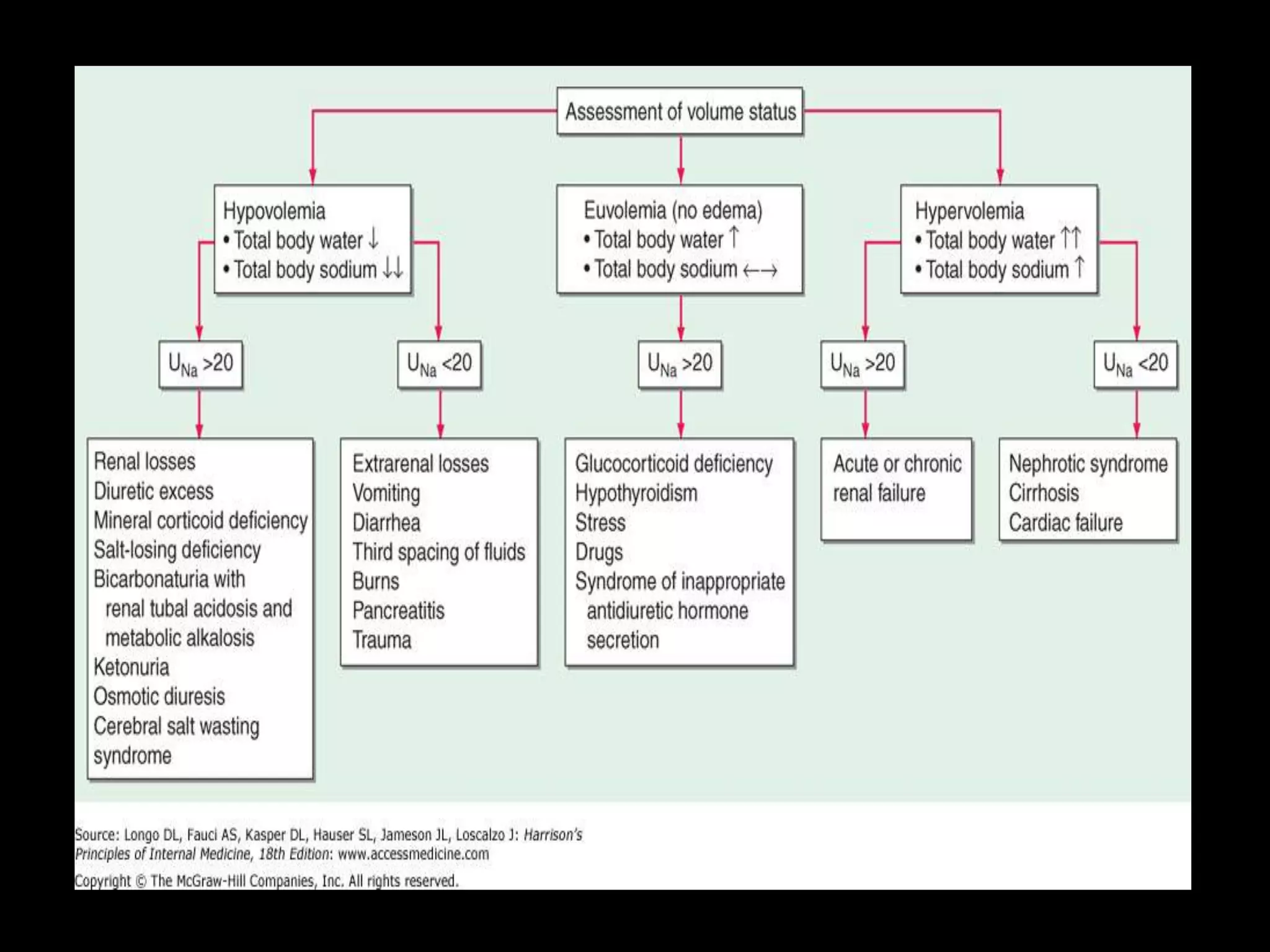 Hyponatremia and hypernatremia | PPTX
