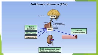 Hyponatremia and hypernatremia | PPTX