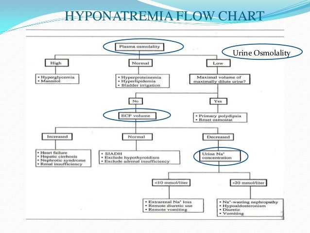Hyponatremia navin`s ppt