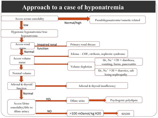 Hyponatremia ppt .final | PPT | Blood Disorders | Diseases and Conditions