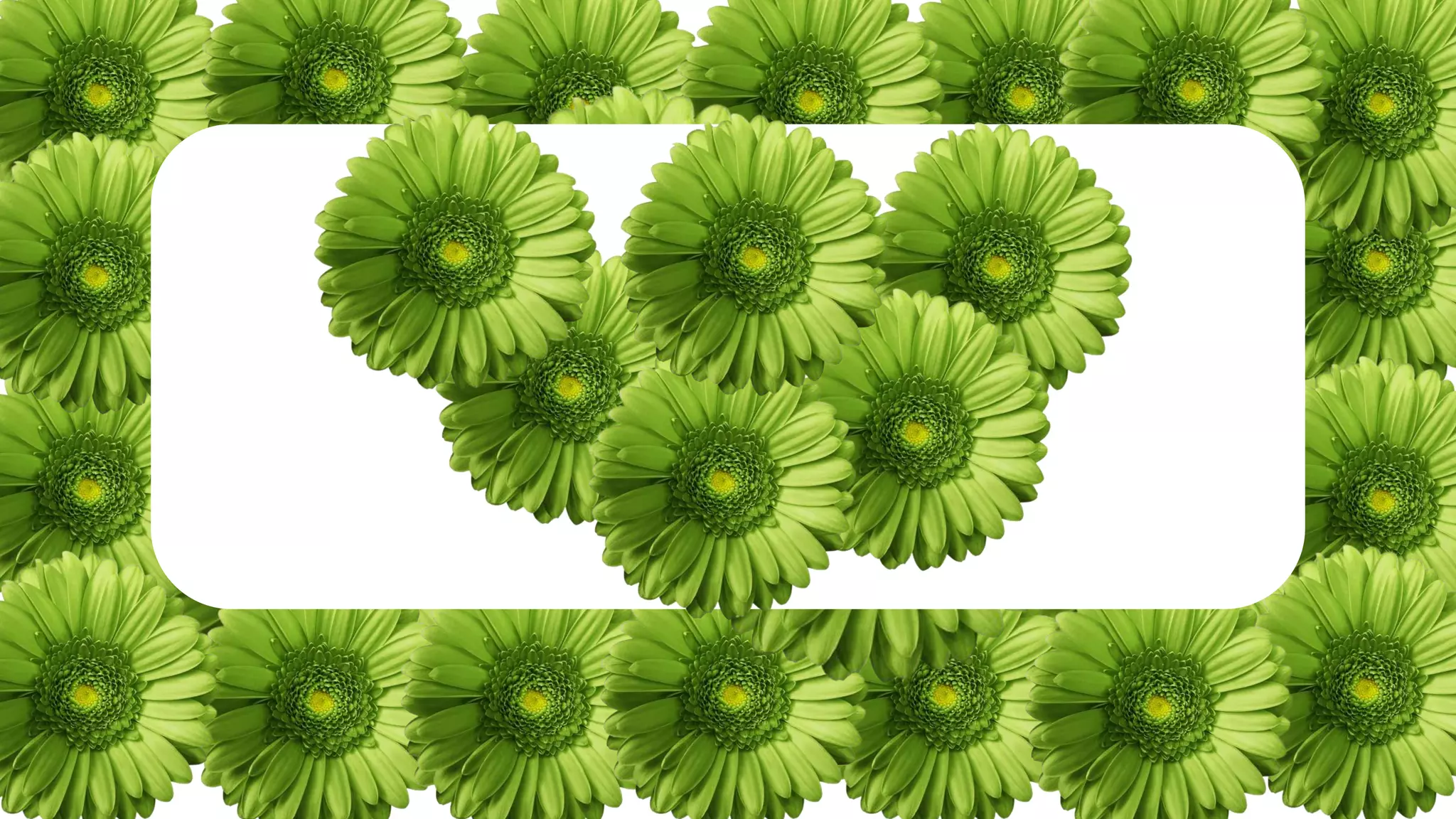 Hyponyms 3rd G3.pptx