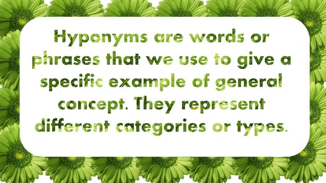Hyponyms 3rd G3.pptx