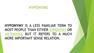 presentation about hyponyms | PPTX