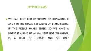 presentation about hyponyms | PPTX