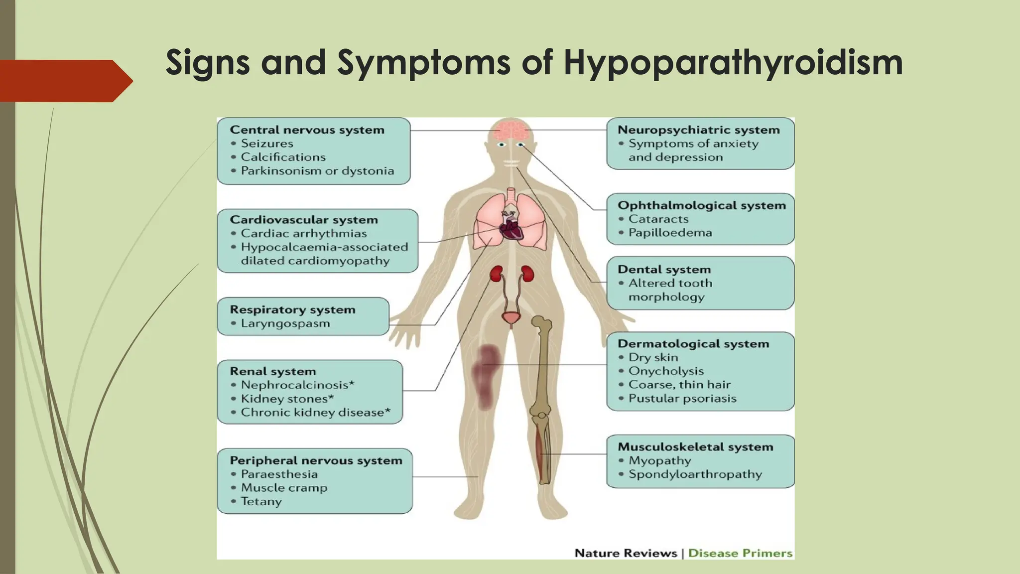 Hypoparathyroidism ( Endocrinology ) ... | PPTX